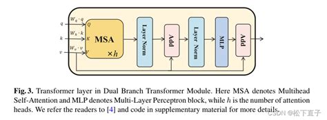 Da Net：用于视网膜血管分割的双分支transformer和自适应条带上采样dtunet Dual Branch