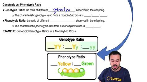 Genotype Ratio