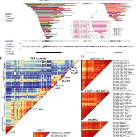 ChIP Seq Binding Pattern Of Data Sets A A Genome Browser Example Download Scientific