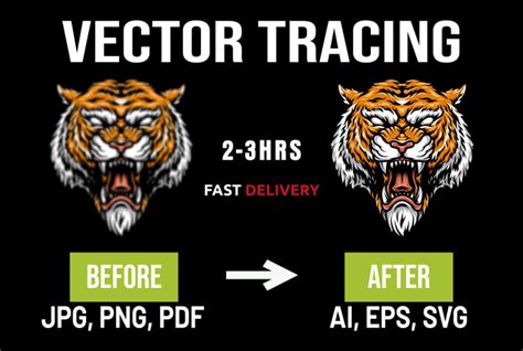 Do Vector Tracing Edit And Redraw Any Logo Image And Sketch To Ai By Shahidmalana437 Fiverr