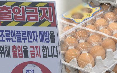 고병원성 조류인플루엔자 전국 확산세달걀값 또 오르나