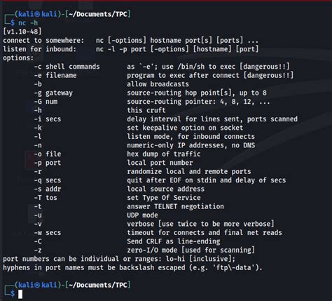 How To Build A Custom Netcat With Python By Muhammad Abdullahi