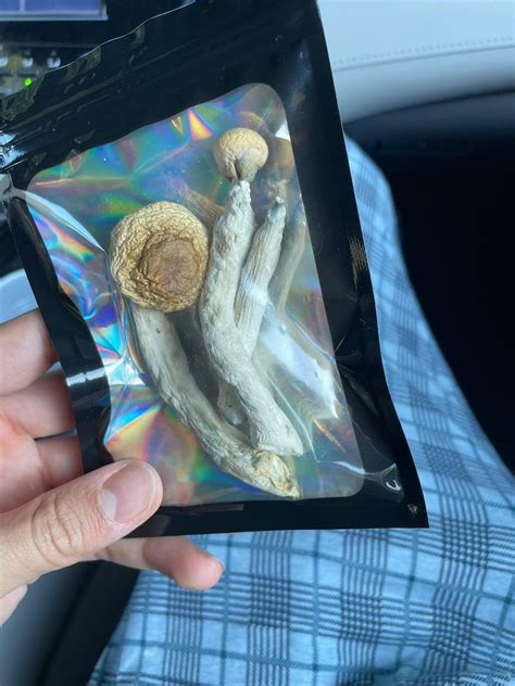 Are These Penis Envy Rshrooms