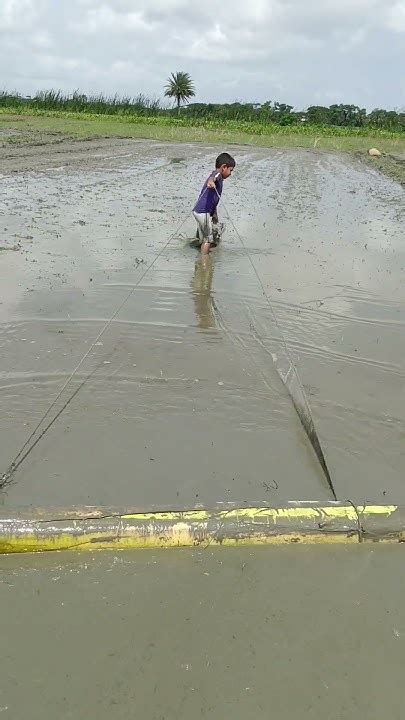 বাংলার খাঁটি কৃষক Reel Virlvdeo Youtube