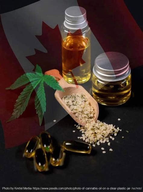 Photo Gallery ถอดบทเรียนจากแคนาดา กัญชา” ใช้เพื่อลด ละ เลิก ความรุนแรงจากยาเสพติด” ปานเทพ