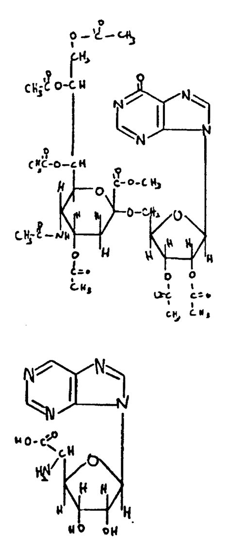 Class Definition For Class 536 Organic Compounds Part Of The Class