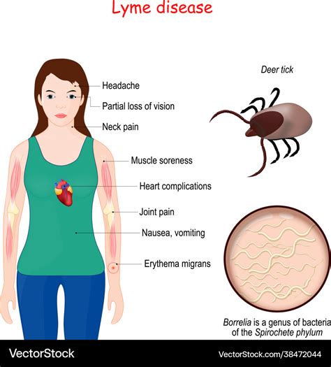 Healthyesta Skin Hair Lifestyle And Wellbeing Guides