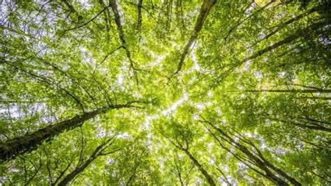 世界の二酸化炭素（co2）排出量と脱炭素への取り組み｜経営・戦略｜アスエネメディア｜ポータル・情報サイト