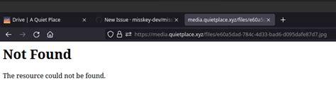13103 Broken Image Uploading Object Storage · Issue 10419