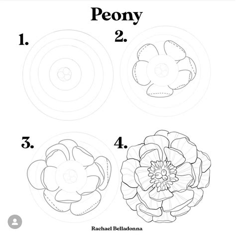 Pin By Kmilax On Strambotik In 2024 Flower Drawing Tutorials Flower
