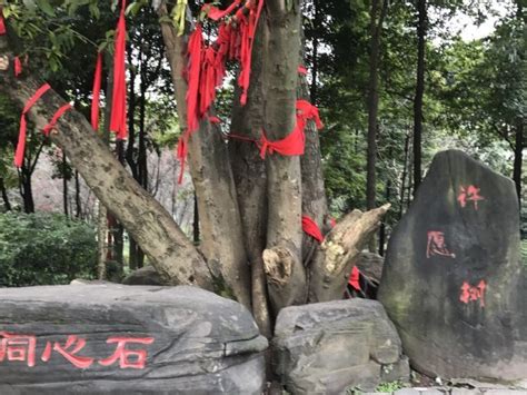 2023巴国城门票 重庆巴国城游玩攻略 巴国城游览攻略路线 地址 门票价格 去哪儿攻略