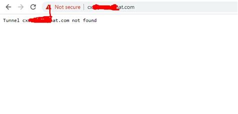 Subdomain Takeover Via Ngrok Service Issue 92 EdOverflow Can I