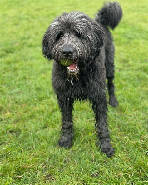 Charlies Muddy Paws Added A New Charlies Muddy Paws