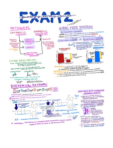 Enzymes Photosynthesis Biochem Pathways I I Baffpfryssuraee Menem Gg