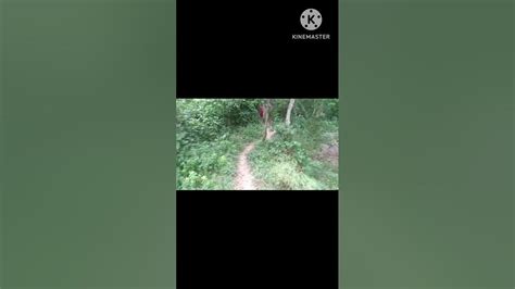 পদ্মা নদীর পাড়ে কিছু সময় Youtube