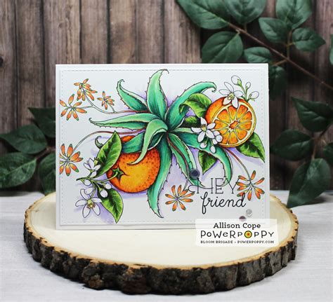 Miraculous Mushrooms Digital Stamp Set Power Poppy By Marcella Hawley