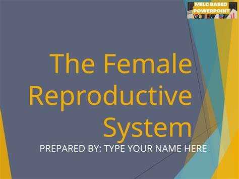 Science 10 Q3 The Female Reproductive System Ppt