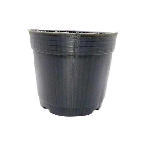 Maceta Soplada L Tomaco Grow Shop