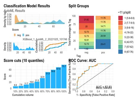 H2o Automl Kamran Afzalis Portfolio