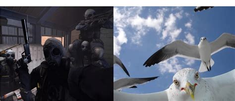 Создать мем чайка Cs Go селфи чайки Картинки Meme