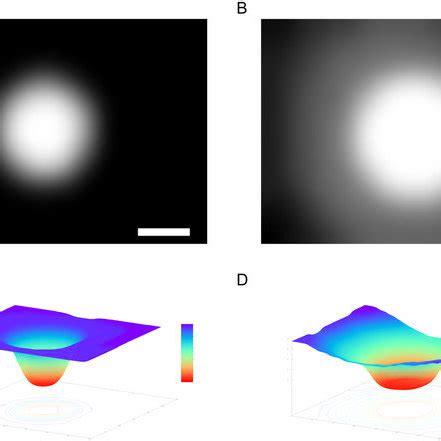 Resulting Density Maps And Surface Plots A Density Map At Day 0 A Download Scientific