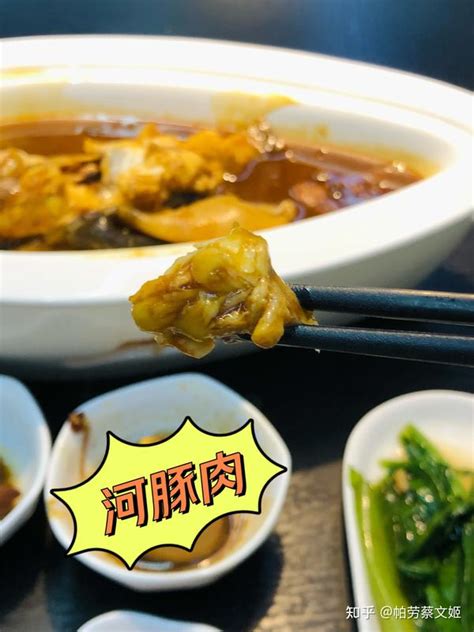 厦门首家河豚主题餐厅·小胖豚粥铺 知乎