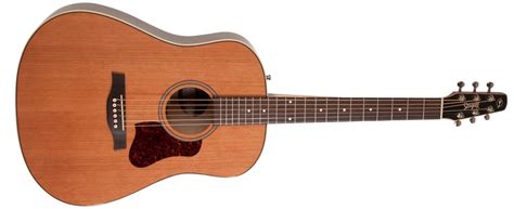 Seagull Guitars Coastline Momentum Acousticelectric Guitar Gloss
