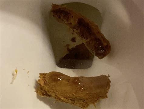 Two Solid Logs Plus Chunks ThisVid Com