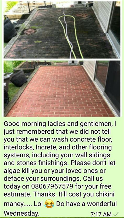 Algae In Your Compound Can Improvement Options Limited