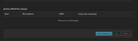 Active Dhcpv6 Leases Only 3 Shown Others Not On Listed Network And