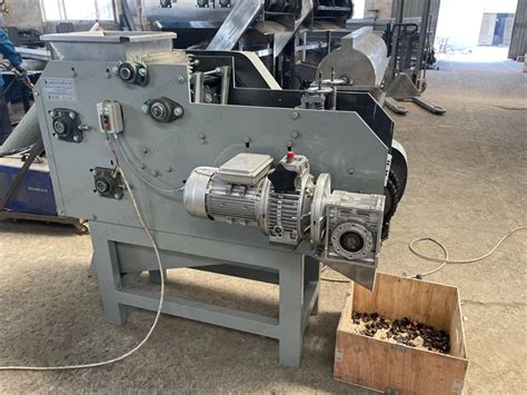 Cashew Production Process A Step By Step Guide