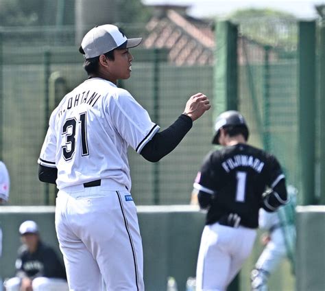 【ロッテ】ドラ2大谷輝龍が紅白戦で1回無安打2奪三振「自信にしていいかなって思います」 プロ野球写真ニュース 日刊スポーツ