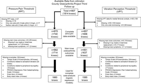 Diminished Vibration Perception And Greater Pressure Pain Sensitivity