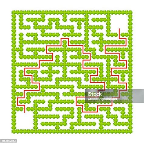 정원 덤불의 광장 미로 아이들을위한 게임 아이들을위한 퍼즐 입구 1개 출구 1개 미로 수수께끼 플랫 벡터 그림입니다 대답과 함께 이미지에 대한 장소와 함께 0명에 대한 스톡