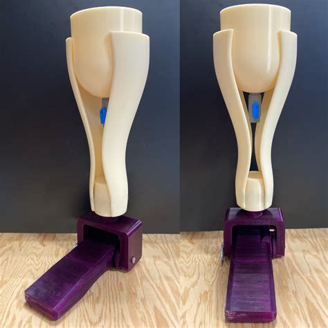 Biomedical Engineering Projects