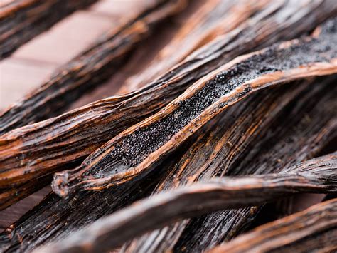 Vainilla mexicana otra deliciosa joya en peligro de extinción ILAM