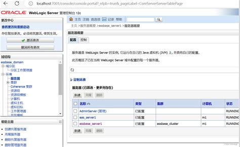 Essbase 21c独立安装oracle Essbase 21c Csdn博客