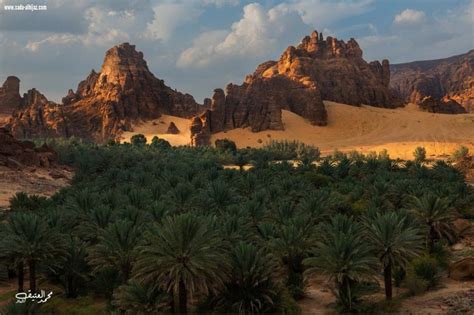 ضمن تفاصيل جديدة الهيئة الملكية لمحافظة العلا تعلن عن خطة استقبال