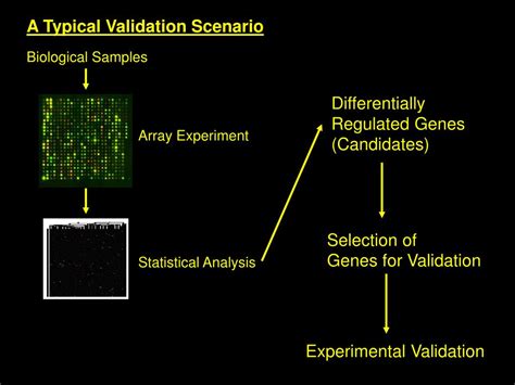 Ppt Experimental Validation Of Microarray Data Powerpoint