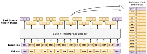 Pegah Tafvizi On Linkedin Updated Post What Is Bertbidirectional Encoder Representations From