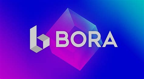 보라코인 Bora 카카오와의 관계