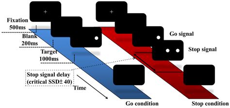 Stop Signal Task Procedure The Stop Signal Task Consisted Of Go And