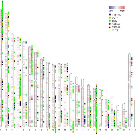 Chromosome Distribution Of Differentially Methylated Intergenic Cpgs