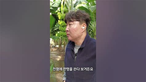 농사편한 고소득 작물 Youtube
