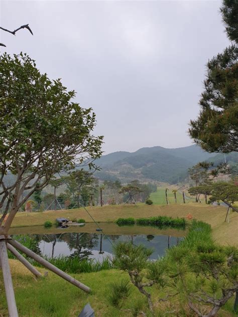 양산 동원로얄cc 코스정보와 라운딩 후기 네이버 블로그