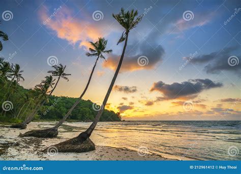 Dawn On A Deserted Beach With Beautiful Leaning Coconut Trees Facing