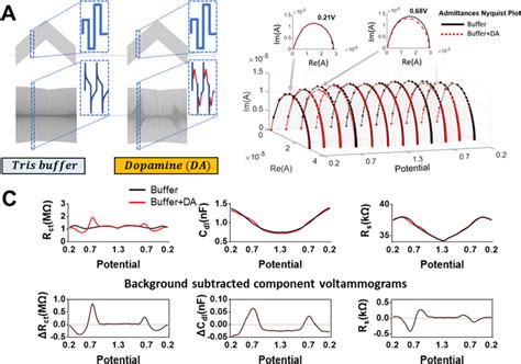 A Voltammograms Before And After Adding Dopamine Using Square Wave Download Scientific
