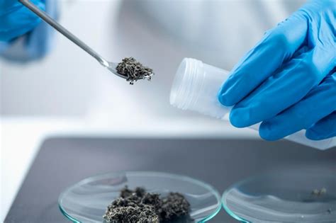Premium Photo Pesticide Testing Laboratory Inspection Of Organic