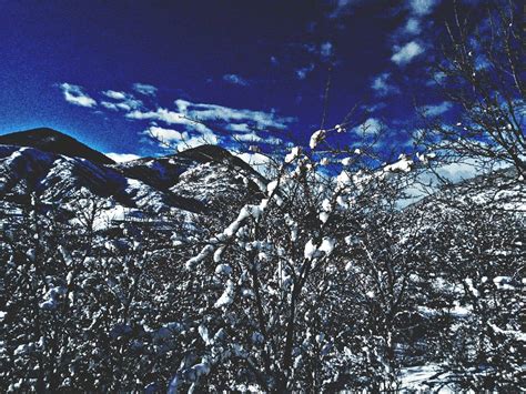 იდუმალი ბუნება