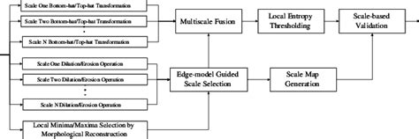 Algorithm Flowchart For Darkbright Lesion Detection Download Scientific Diagram